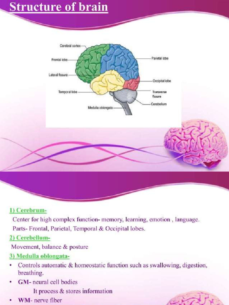 Brain Pathology | PDF
