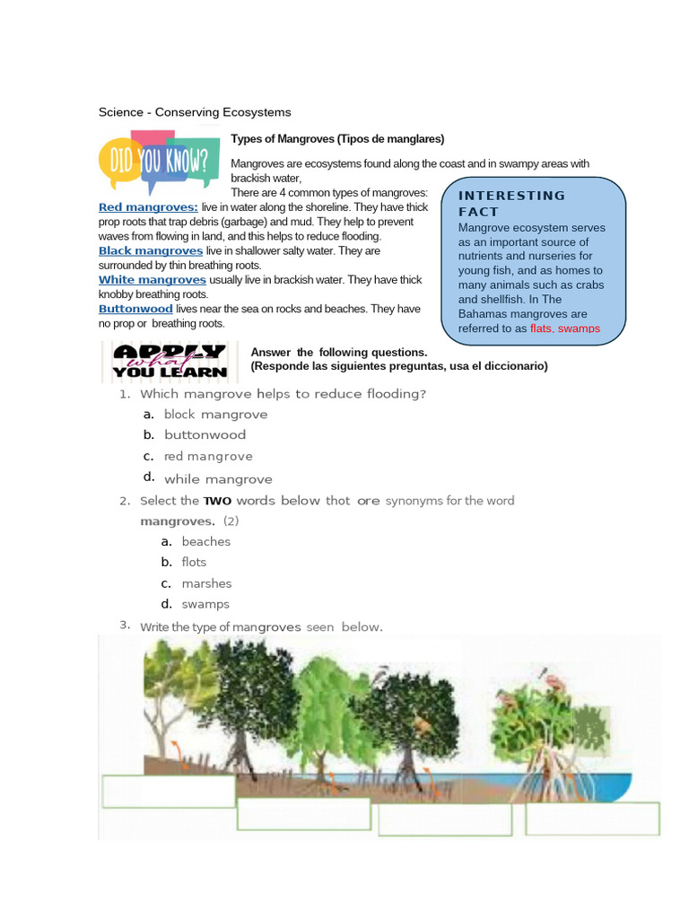 Mangrove Ecosystem Nee 1 Pdf
