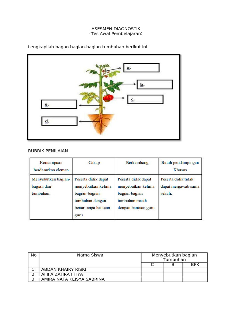 Asesmen Diagnostik Bagian Tumbuhan | PDF