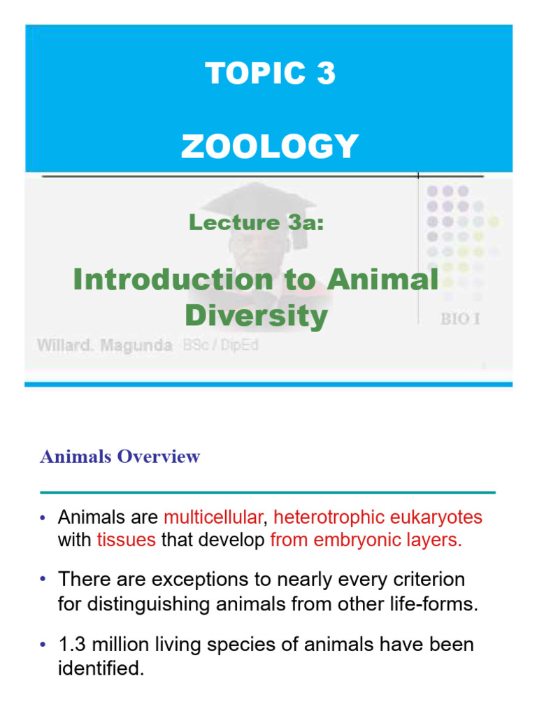 3a - An Introduction To Animal Zoology | PDF