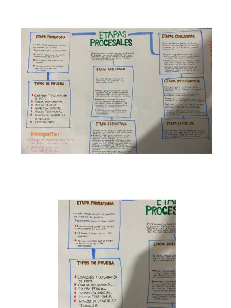 Etapas Procesales | PDF