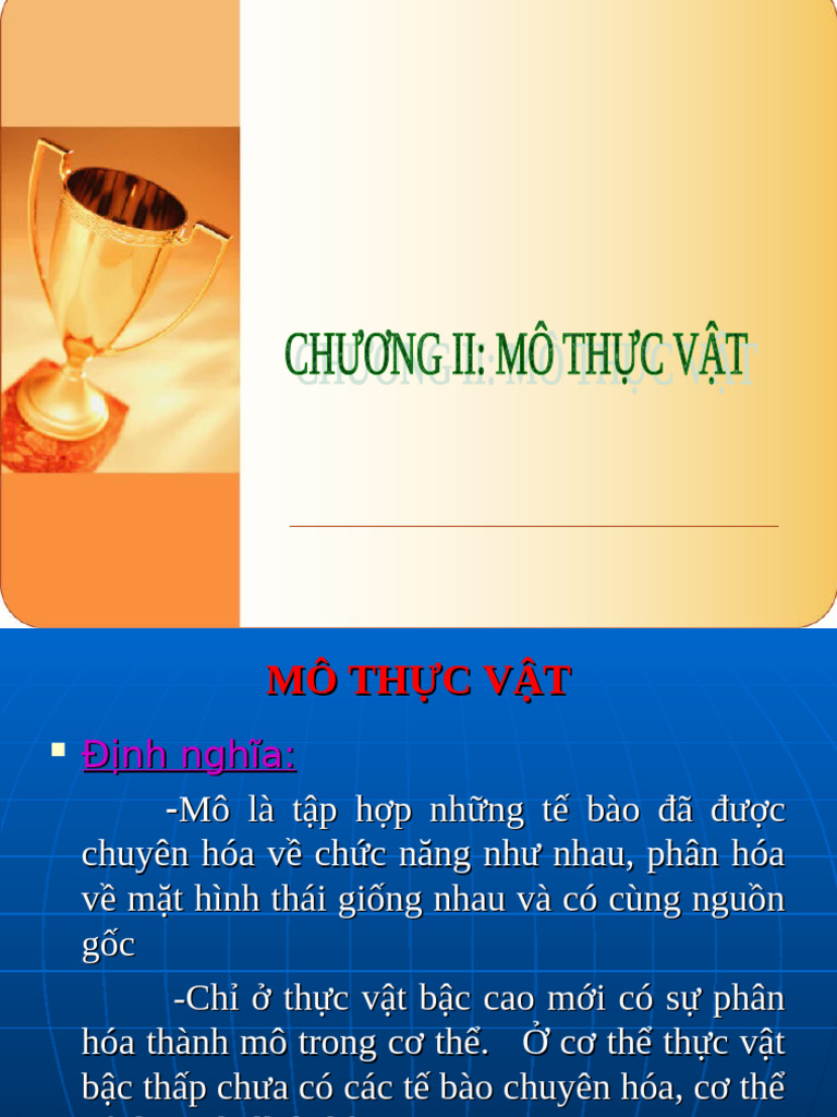 Mo Thuc Vat | PDF