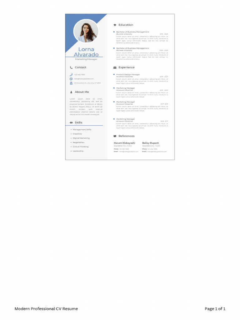 Modern Professional CV Resume | PDF