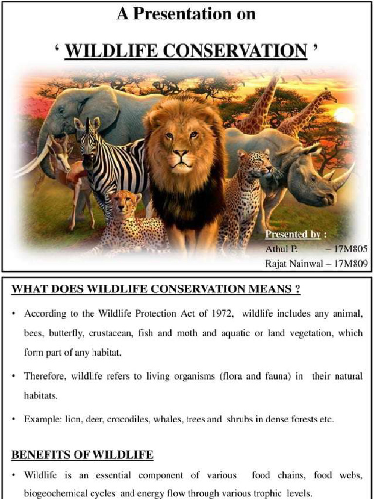 Pakistan Wildlife | PDF