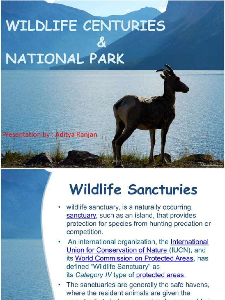 Wildlife Habitat | PDF