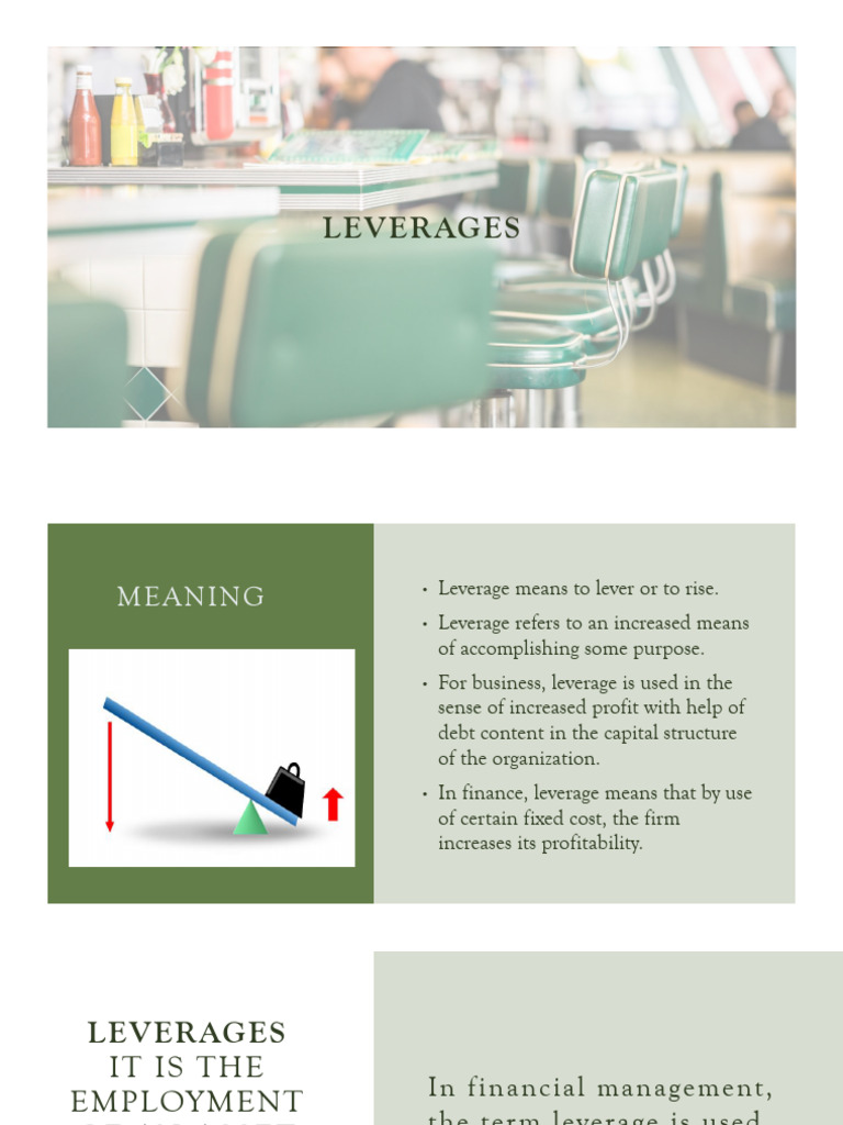 Leverages | PDF
