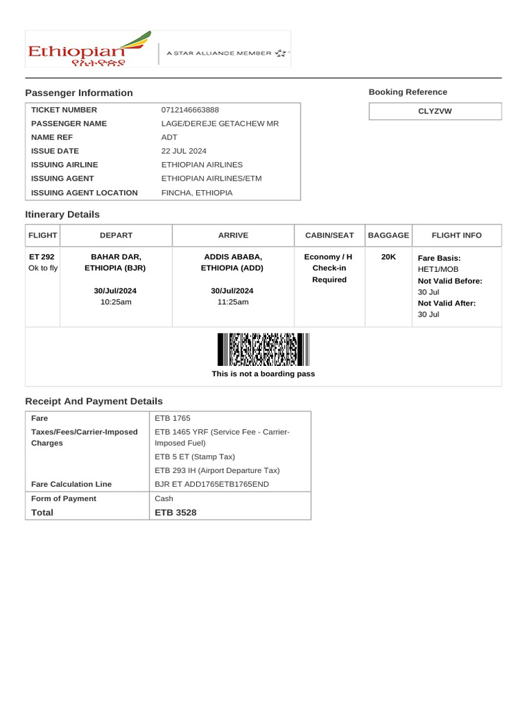 Electronic Ticket Receipt, July 30 For MR DEREJE GETACHEW LAGE | PDF
