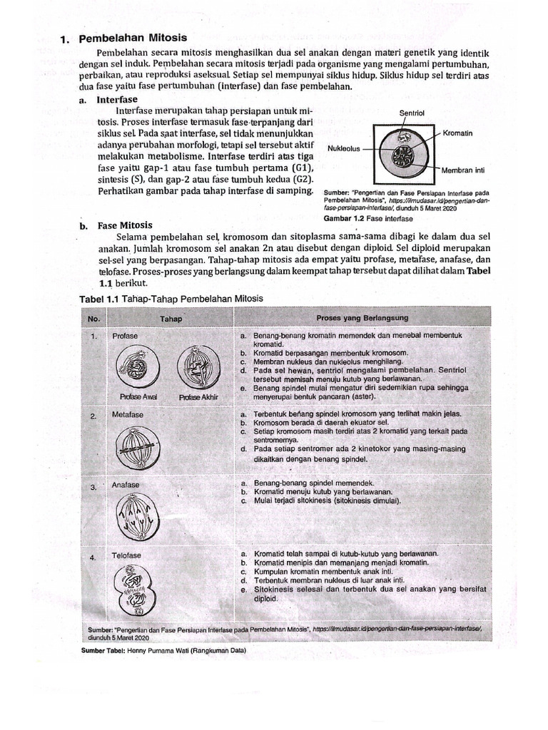 Catatan Dan Latihan Soal Pembelahan Sel Kelas 9 | PDF