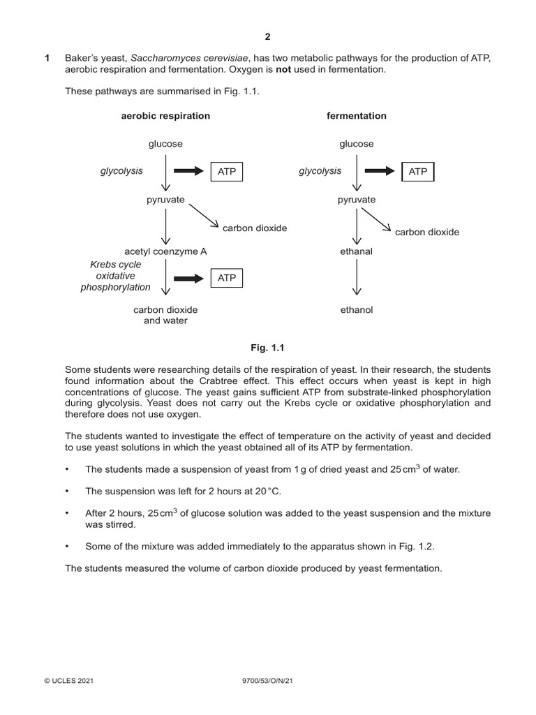 Paper 53 - 2021 | PDF