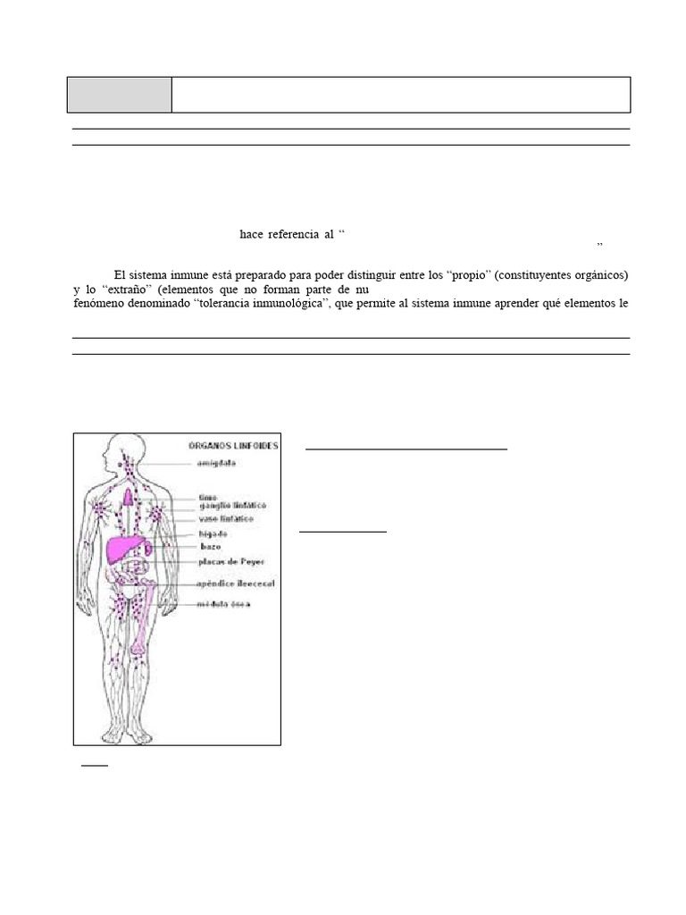 Fg05-Defensas Del Organismo | PDF
