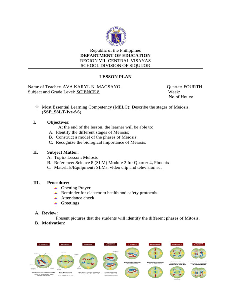 module-2-3.meiosis | PDF