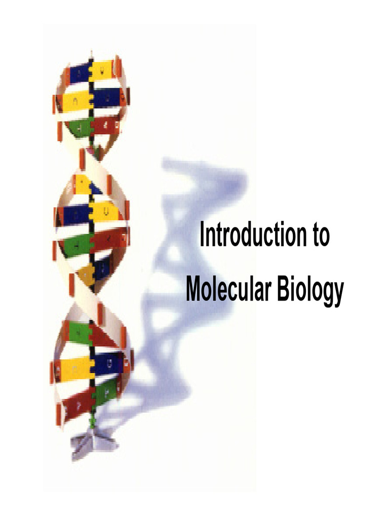 Intro To Molecular Biology - 7484 | PDF