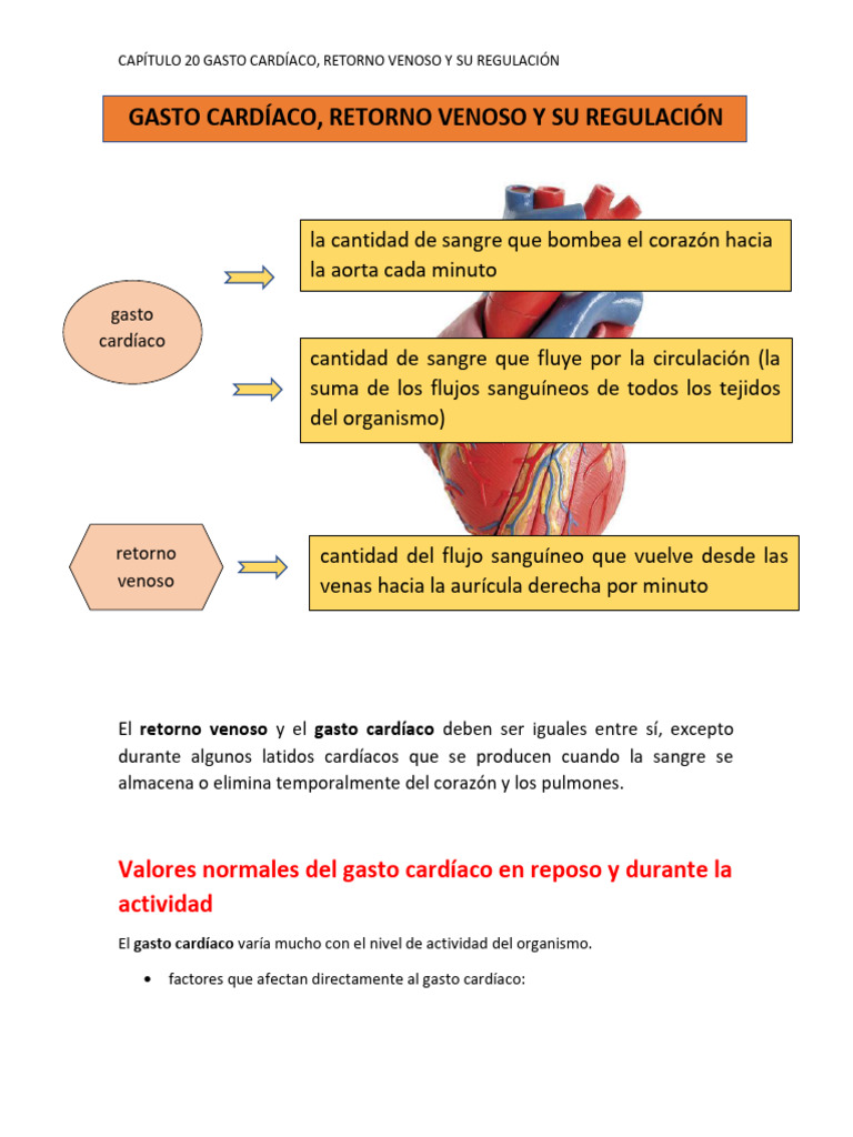 Capitulo-20. Fisiologia de Guyton | PDF