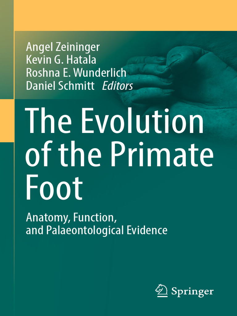 Zeininger A. The Evolution of The Primate Foot. Anatomy, Function,... 2022 | PDF