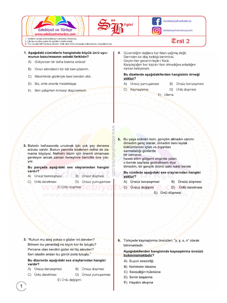 Türkçe Test 2 | PDF