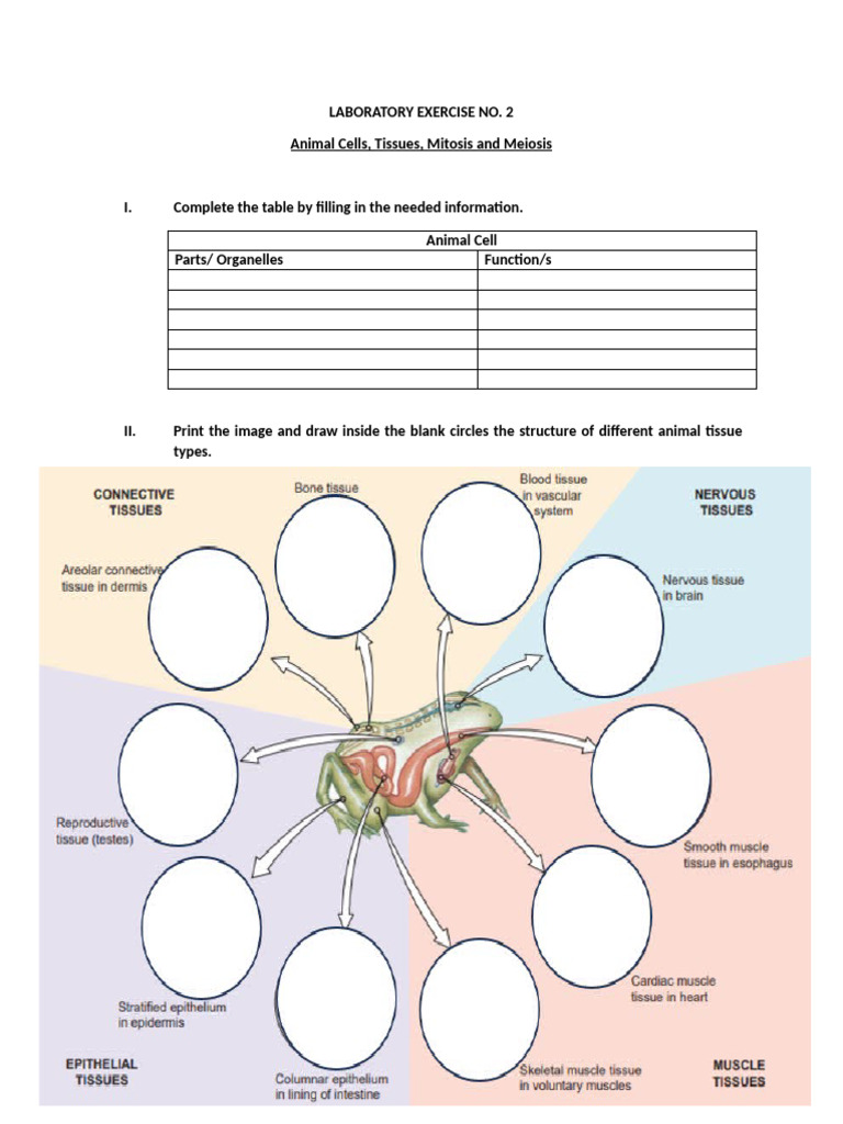 Laboratory Exercise No 2 | PDF