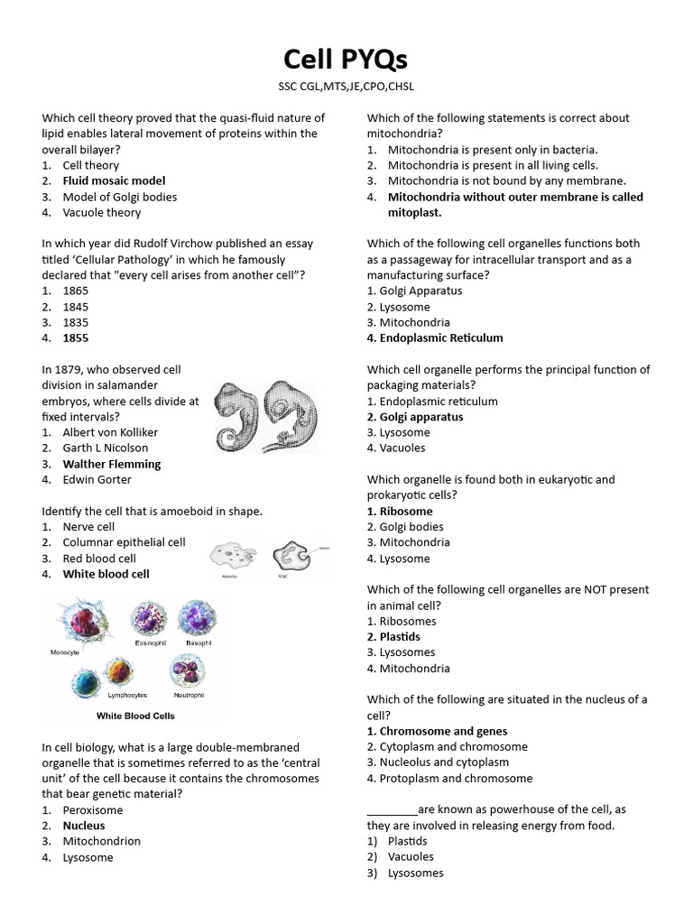 Cell PYQs (PT 2) | PDF