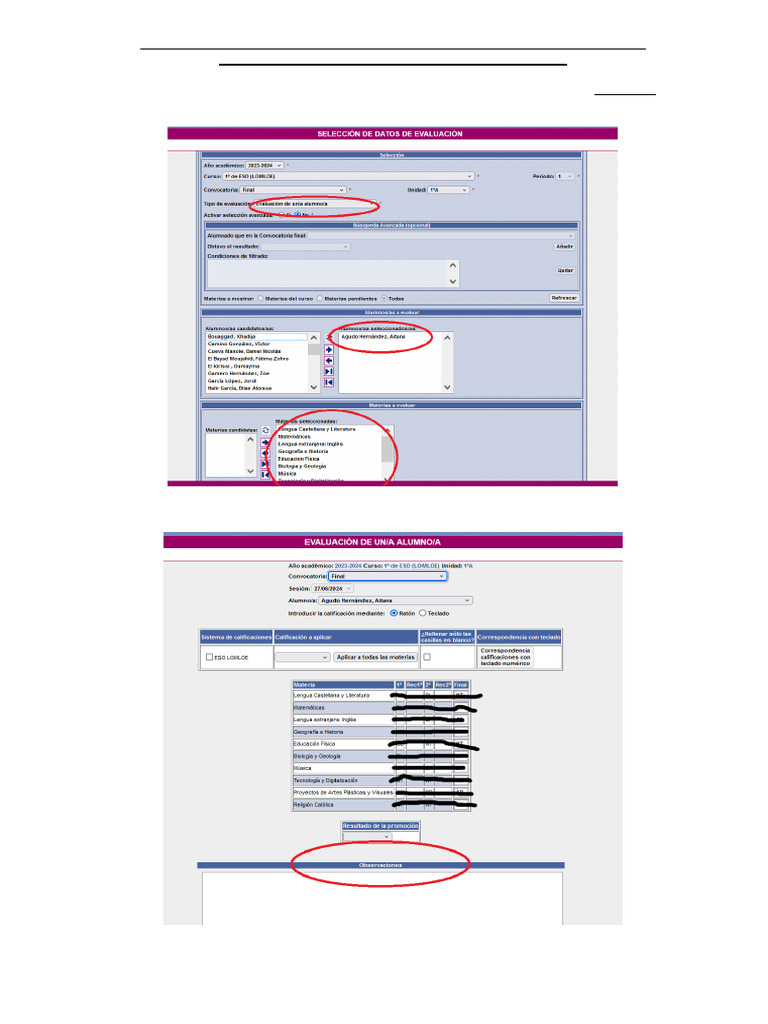 Como Introducir Observaciones Individuales en Boletin | PDF