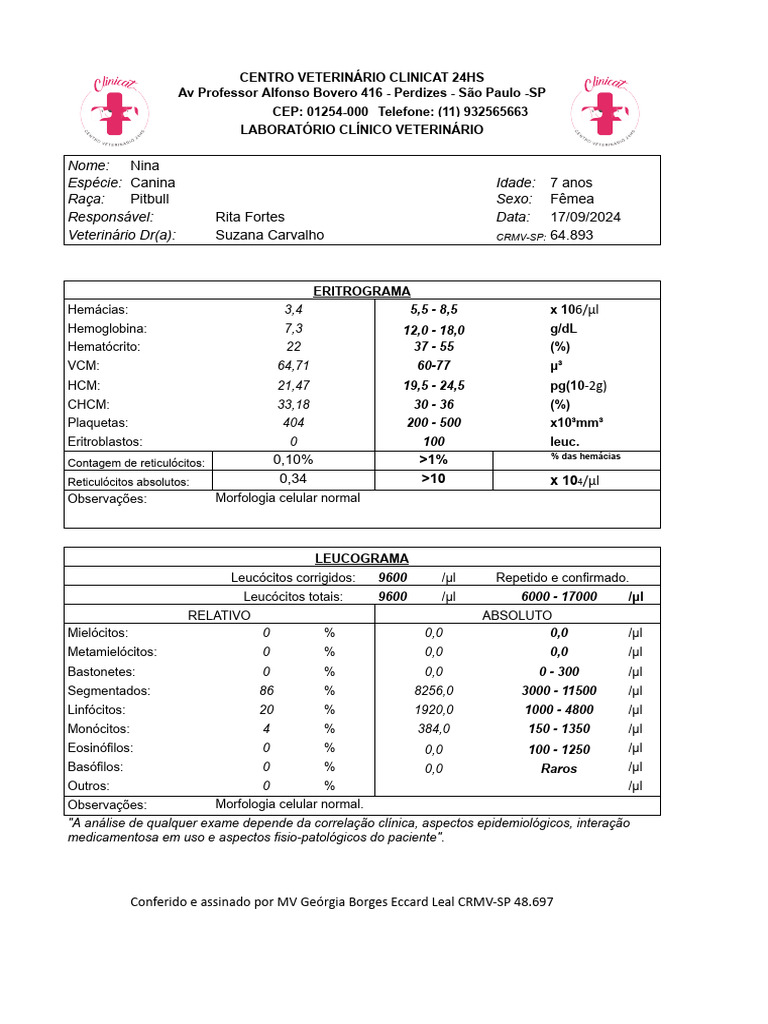 NINA PITBULL RITA hg ret bioqui (1) | PDF