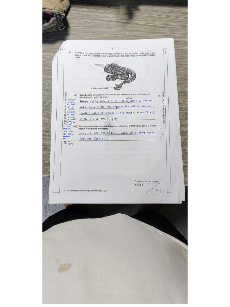 PDFGallery 20240923 172557 | PDF