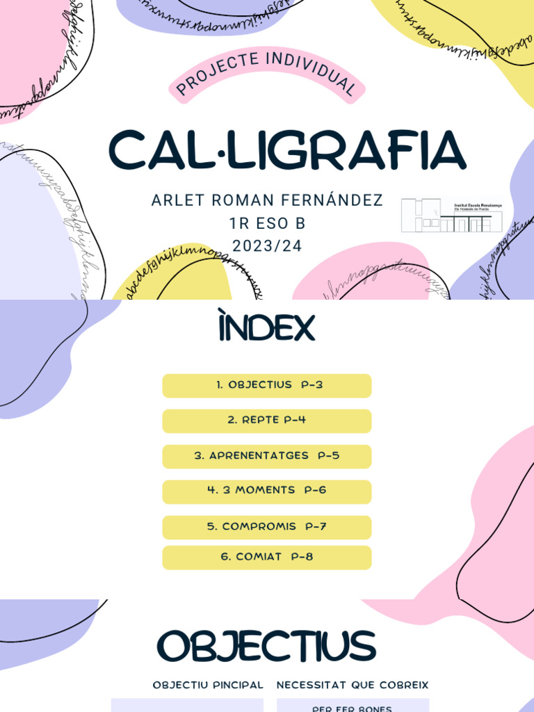 Projecte Individual | PDF