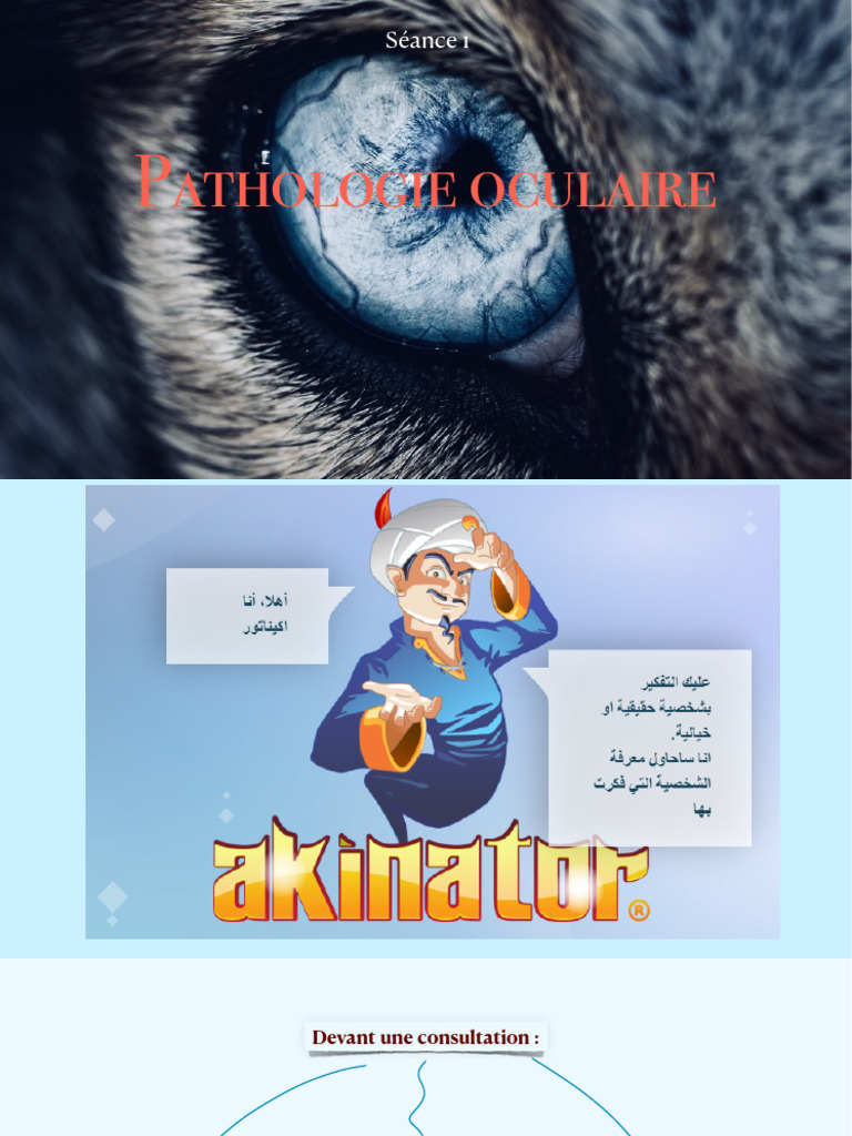 Pathologie Oculaire | PDF