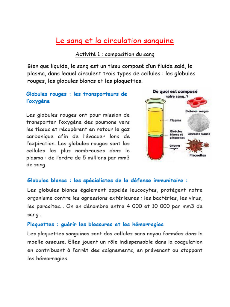 Sang Et Circulation Sanguine | PDF | Ventricle (Heart) | Travel