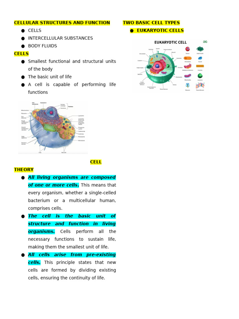 Cellular Structures and Function | PDF
