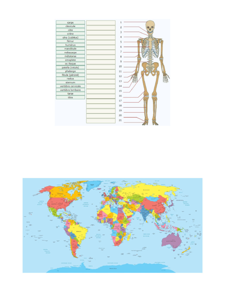 Photos Squelette Et Monde | PDF