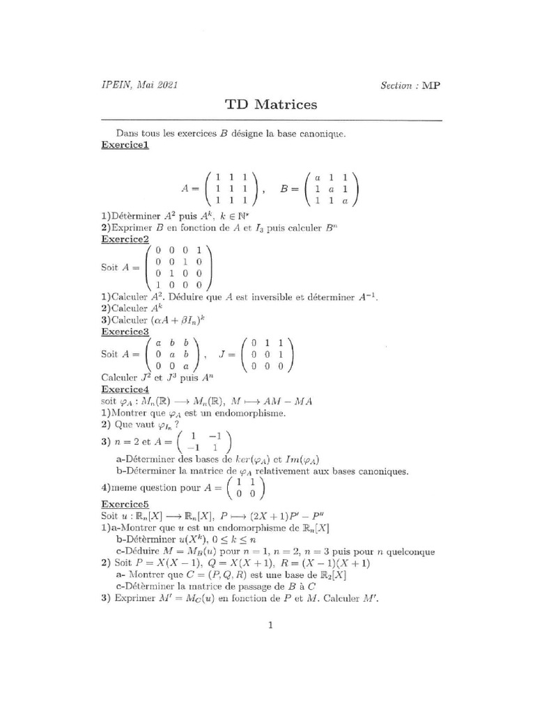 Matrices 2021 IPEIN TD | PDF