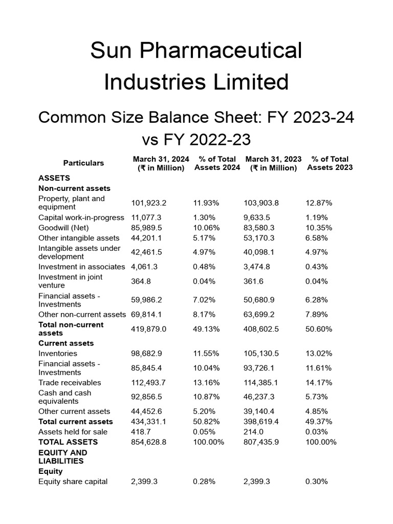 common-size-balance-sheet-2023-2024 | PDF