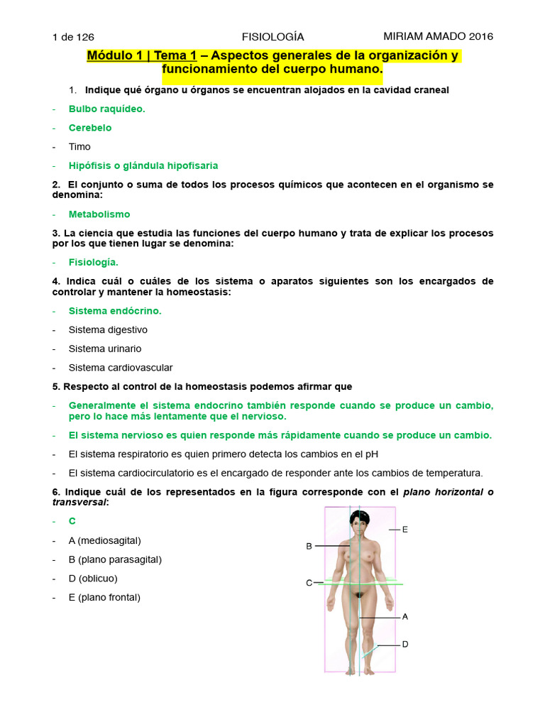 Preguntas de Fisio 1 | PDF