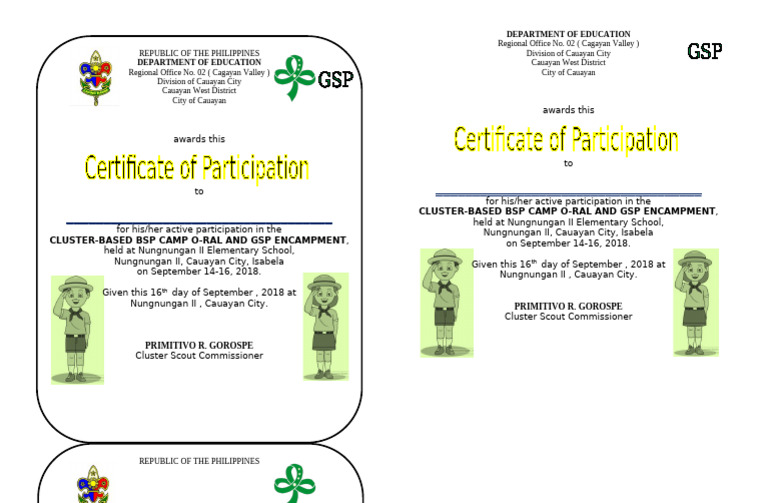 BSP GSP Certificate | PDF
