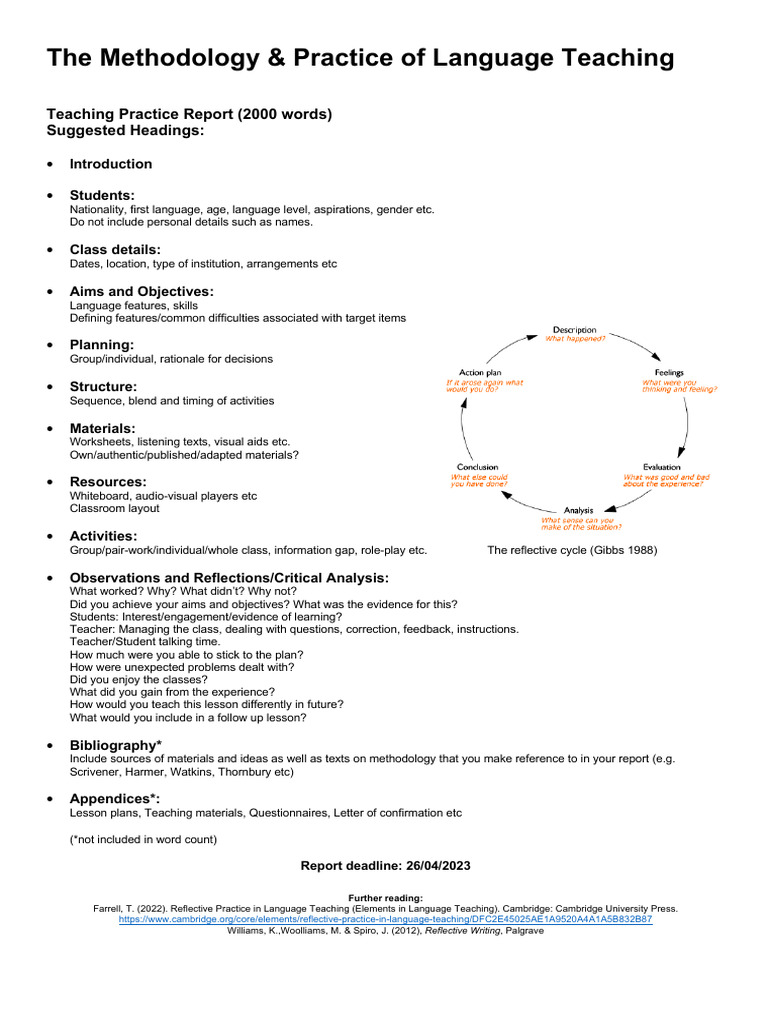 Teaching Practice Report Guidelines | PDF