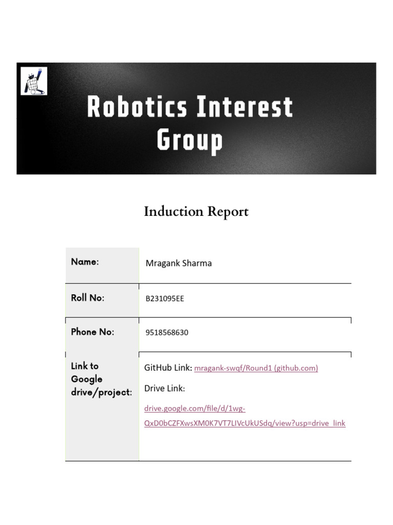 Induction Report | PDF