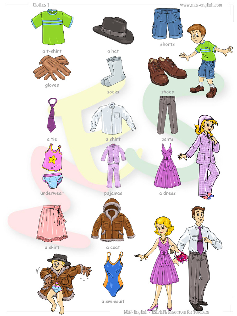 MES Flashcards - Print Page | PDF