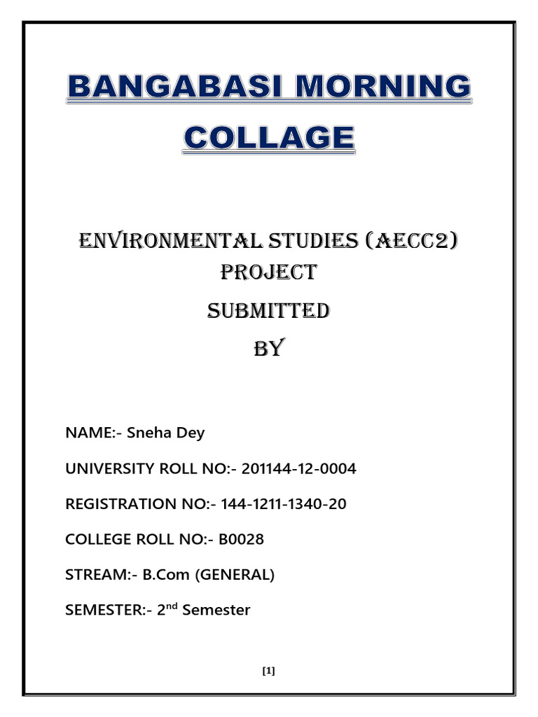 Environment Project | PDF