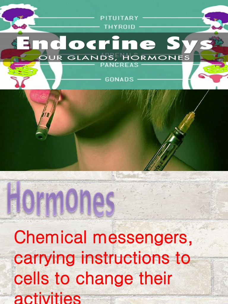 Lesson 2 Endocrine System | PDF