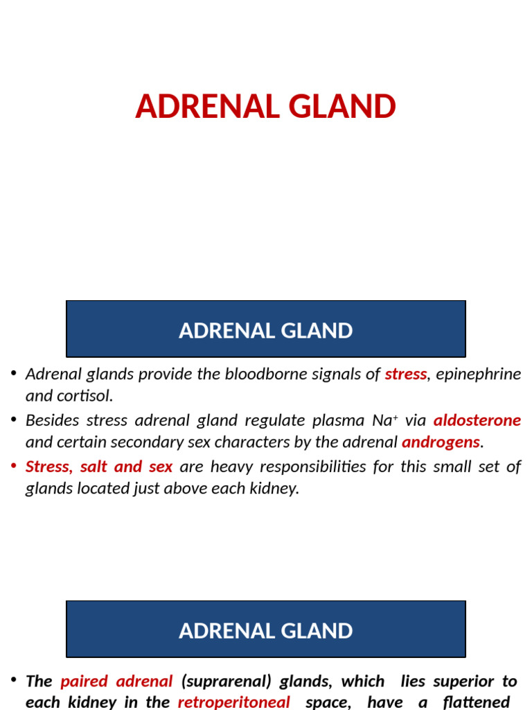 ADRENAL CORTEX | PDF