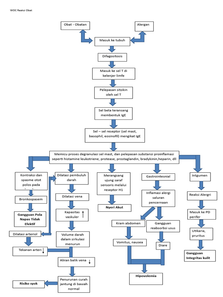 Woc Reaksi Obat KMB Kel 5 | PDF