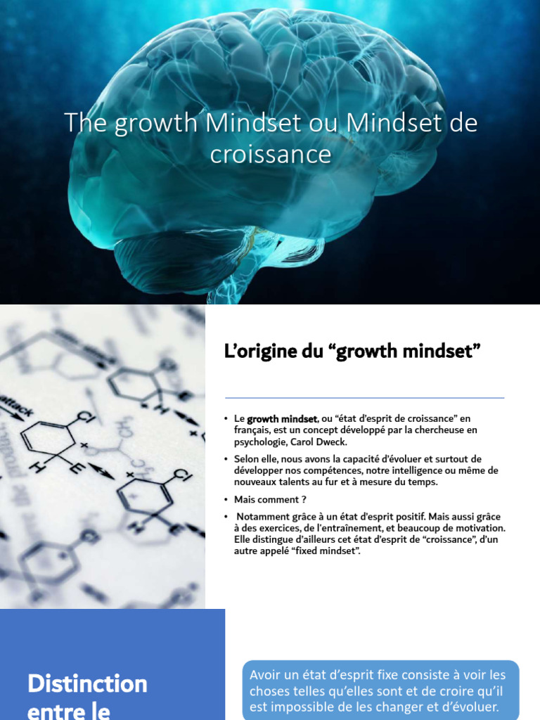 Mindset3 GROWTH | PDF