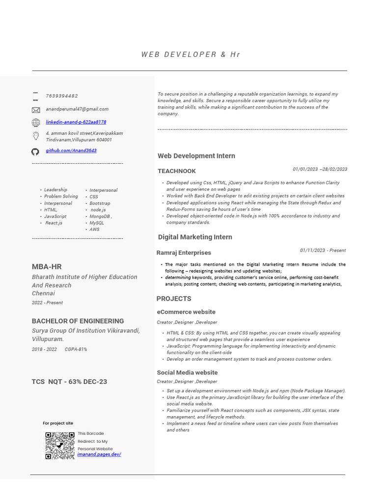 Maastricht Blue Minimalist Professional Resume Web Developer | PDF