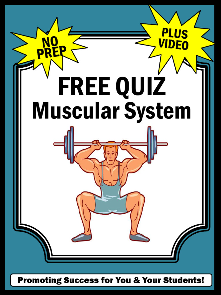 Muscular System Quiz Video 2020 | PDF