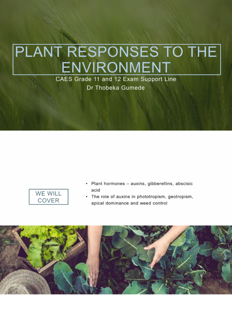 Plants | PDF