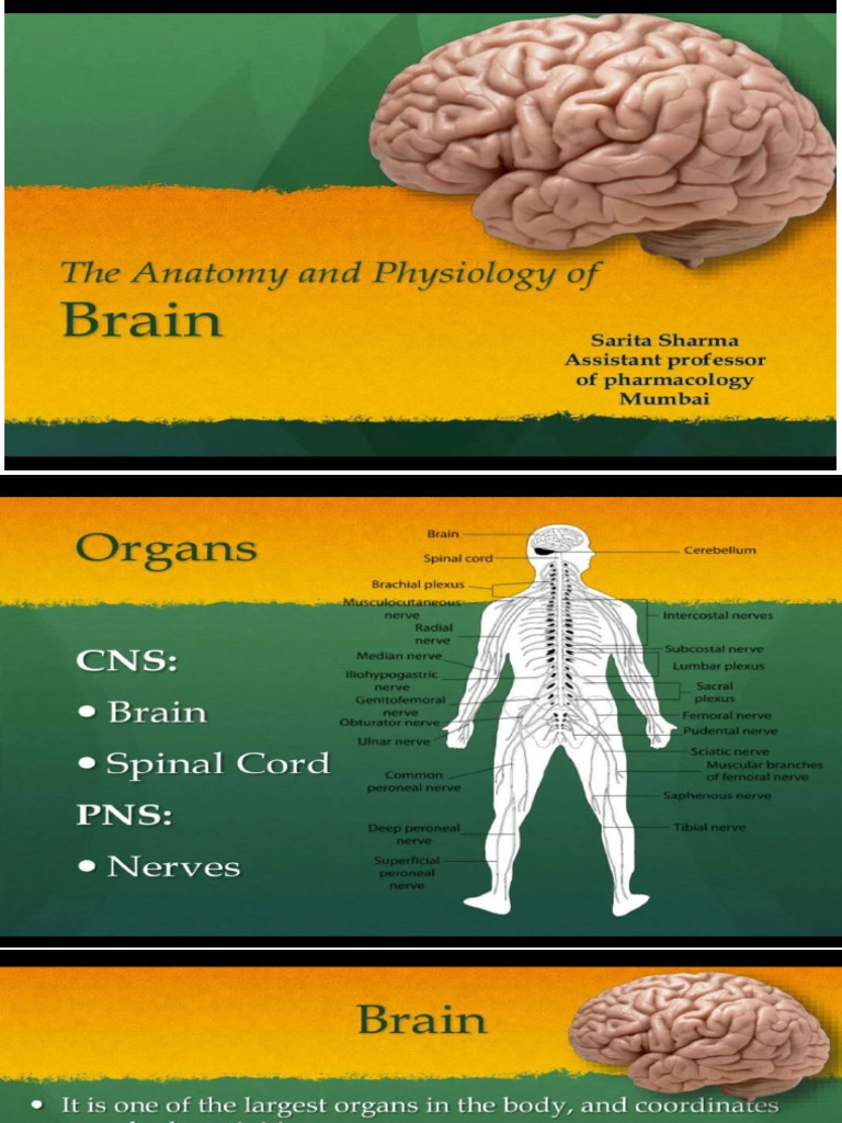 Power of The Mind 2 | PDF | Foreign Language Studies | Science ...
