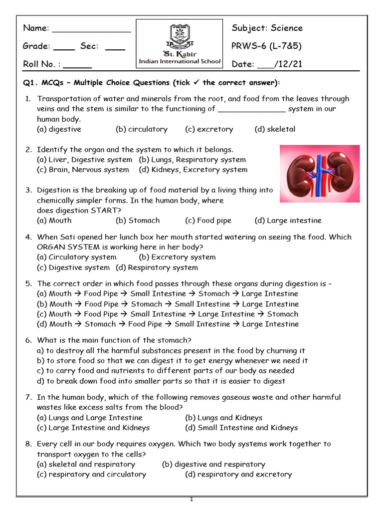GR4 Sci PRWS6 L7&5 | PDF