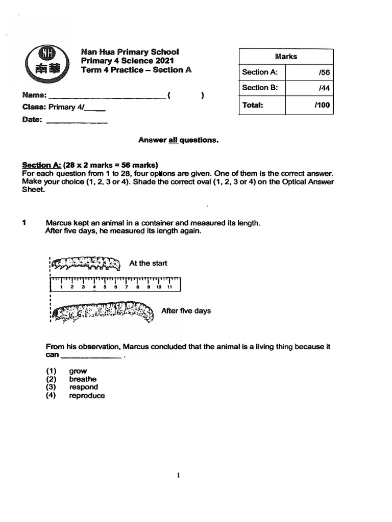 Primary 4 Science Practice Test | PDF