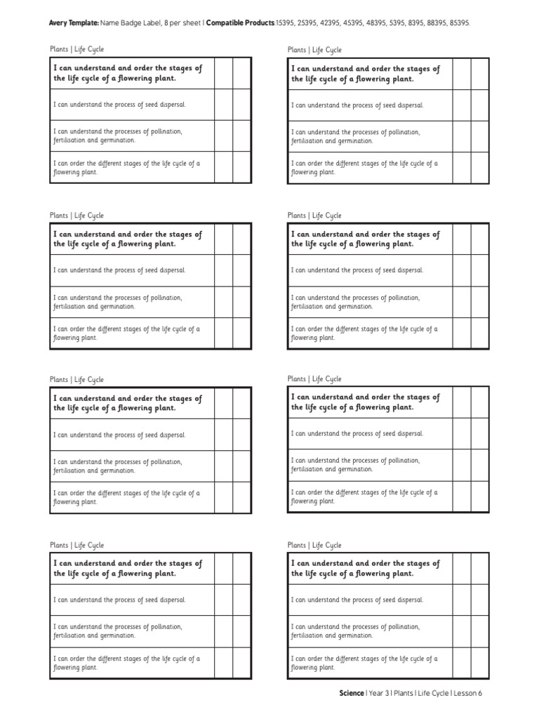 Success Criteria Grids Life Cycle | PDF