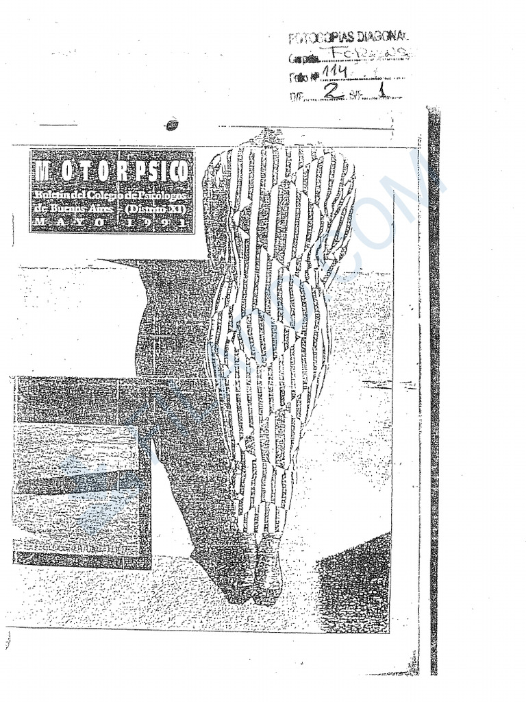DOMÍNGUEZ LOSTALÓ - Acerca Del Espacio Científico Domínguez | PDF | Derecho