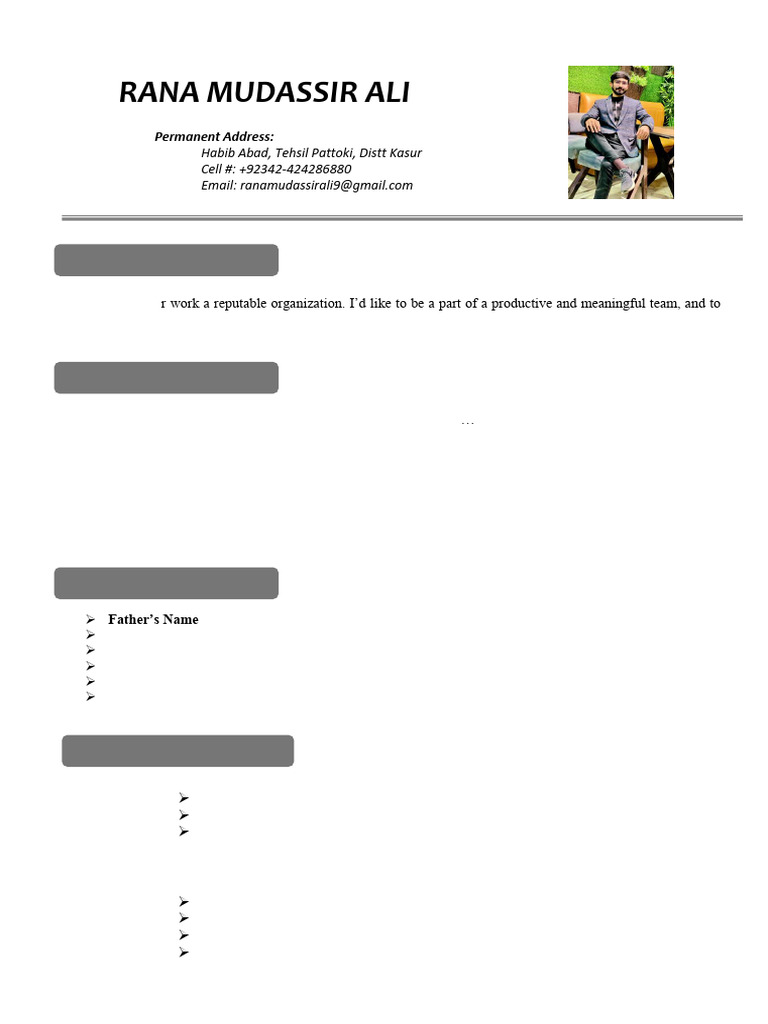 Rana Mudassir Ali Cv | PDF